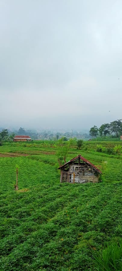 311 Trawas East Stock Photos - Free & Royalty-Free Stock Photos from ...