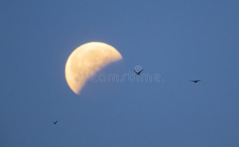 Beautiful Scenery of Lunar Eclipse Stock Photo - Image of copy, orbit ...