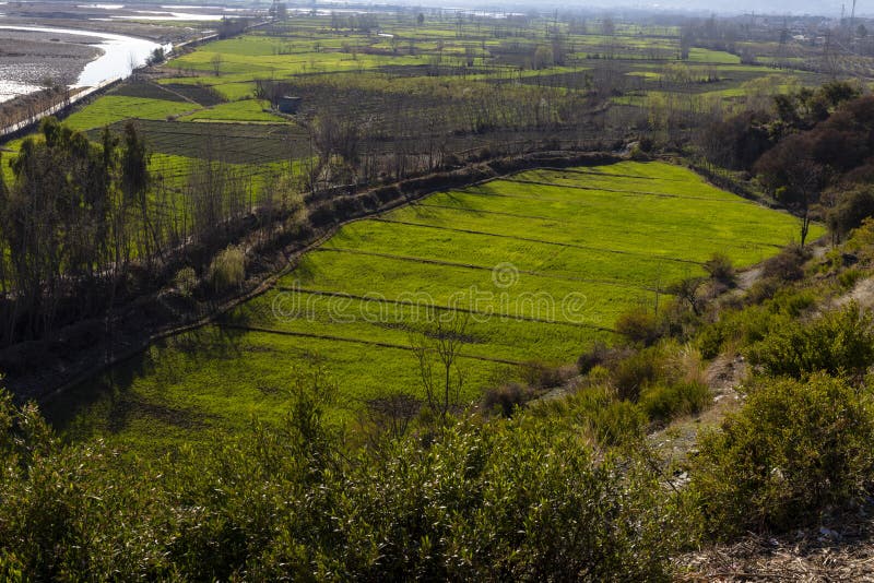 Beautiful Scenery of Lush Green Fields High Angle View from Hill Stock ...