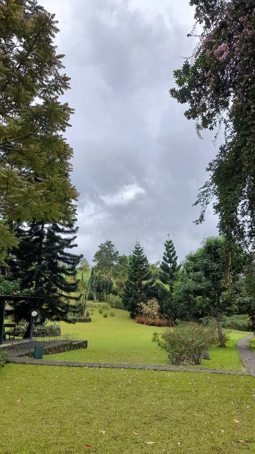 Beautiful Scenery Makes Us Calm so Take a Walk Stock Photo - Image of ...