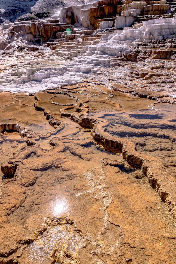 Beautiful Scenery at Mammoth Hot Spring in Yellowstone Stock Image ...
