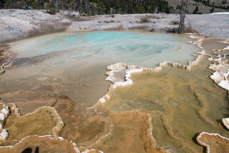 Beautiful Scenery at Mammoth Hot Spring in Yellowstone Stock Photo ...