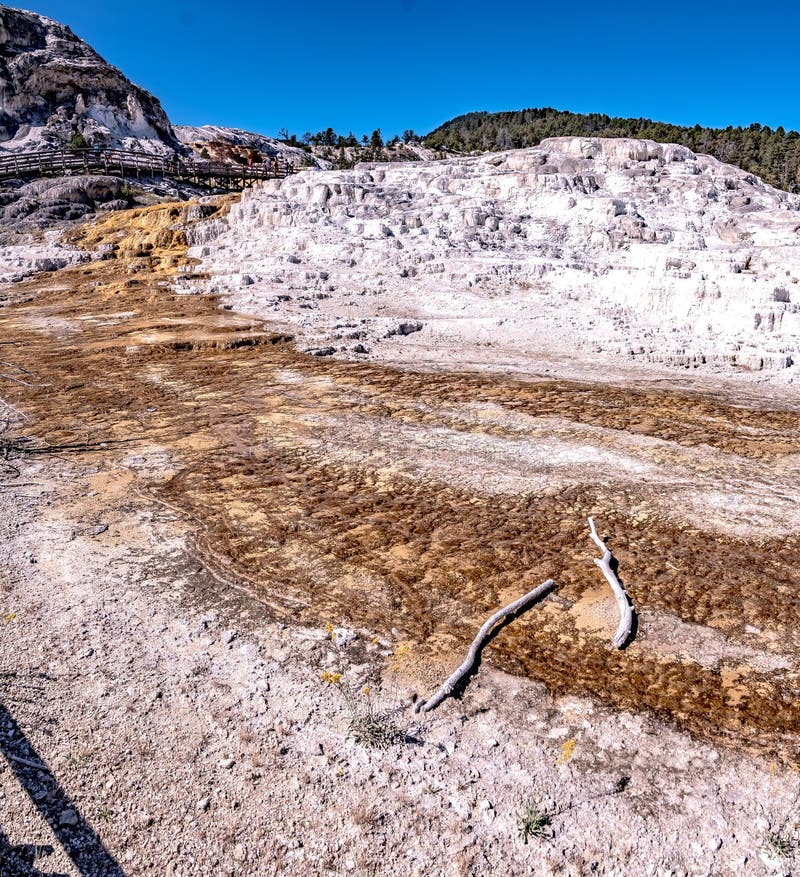 Beautiful Scenery at Mammoth Hot Spring in Yellowstone Stock Photo ...