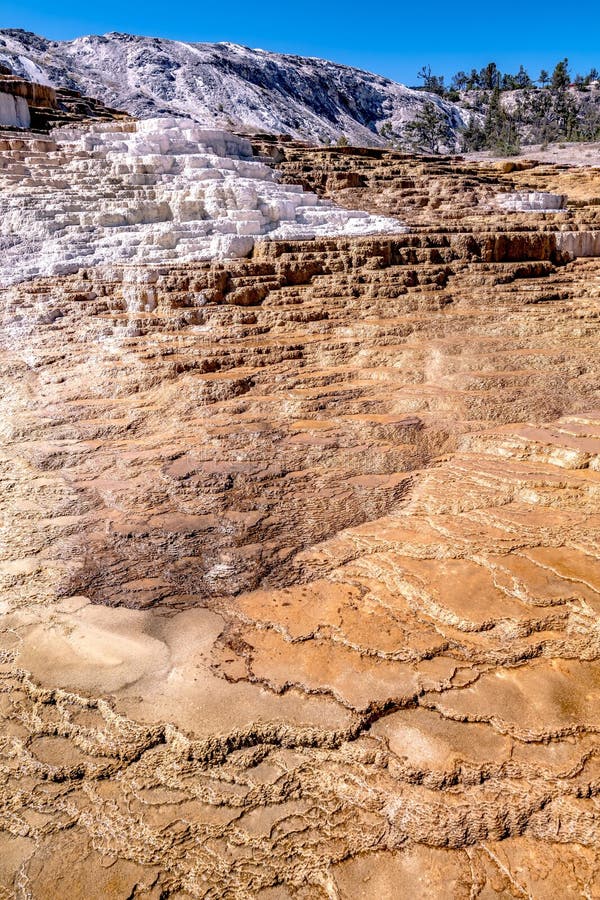 Beautiful Scenery at Mammoth Hot Spring in Yellowstone Stock Image ...