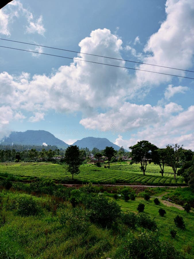 Beautiful Scenery in the Morning Pangalengan Bandung, West Java Stock ...
