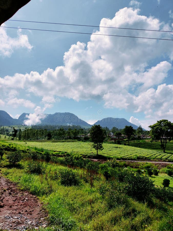 Beautiful Scenery in the Morning Pangalengan Bandung, West Java Stock ...