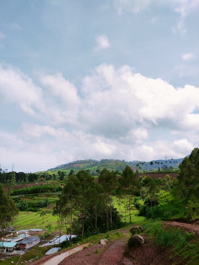 Beautiful Scenery in the Morning Pangalengan Bandung, West Java Stock ...
