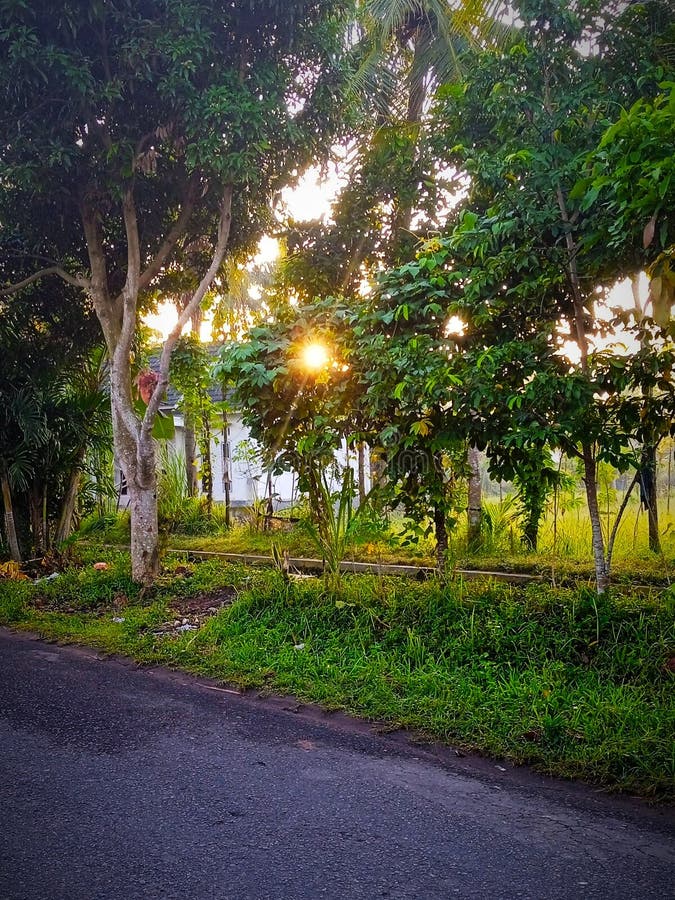 Beautiful Scenery Morning in Village Stock Photo - Image of beautiful ...