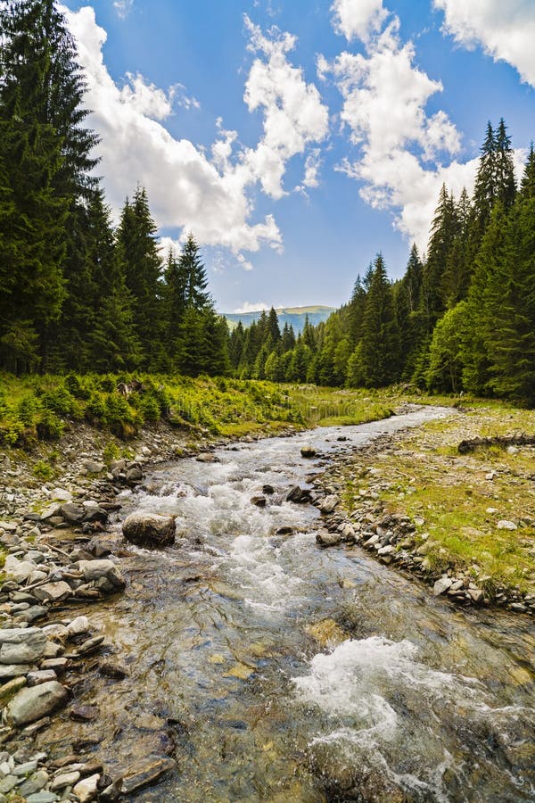 Beautiful Scenery with a Mountain River Stock Photo - Image of green ...
