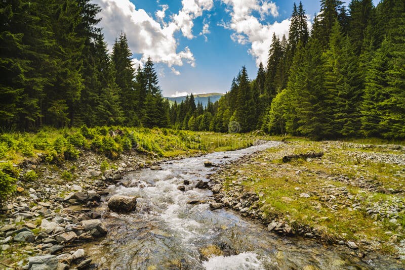 Beautiful Scenery with a Mountain River Stock Photo - Image of forest ...