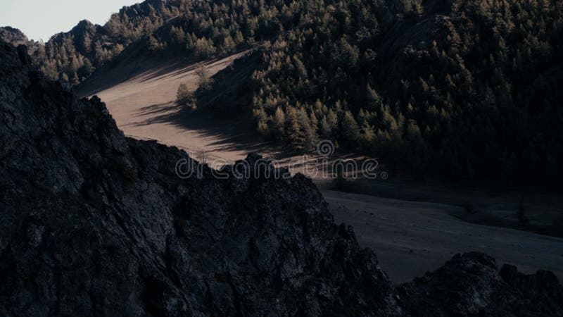 Beautiful Scenery of a Narrow Path in the Forest with Rocks Stock Photo ...