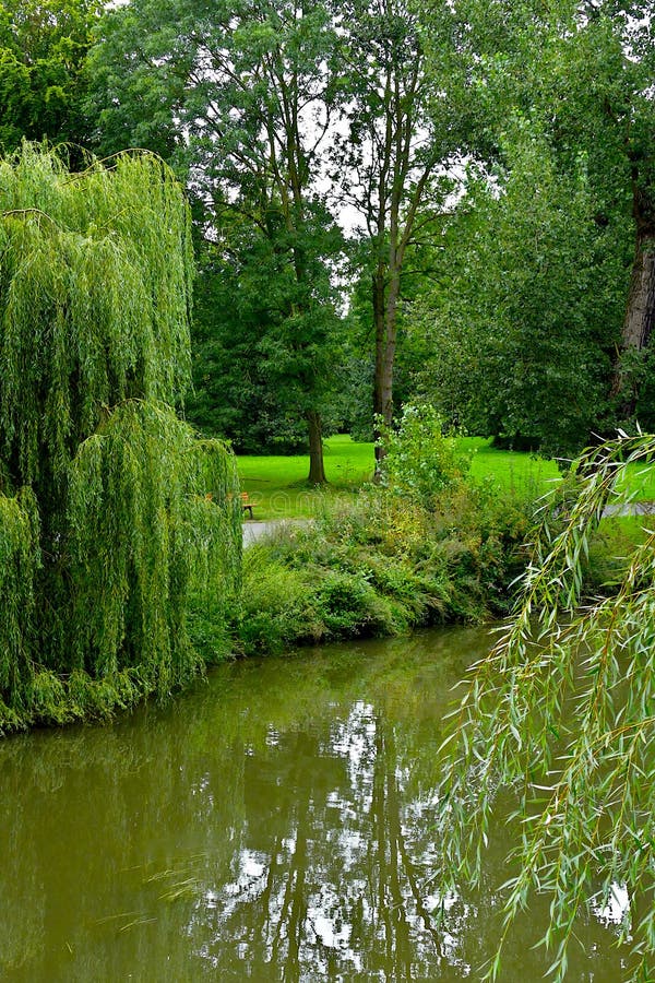 Beautiful Scenery in the Park. Stock Photo - Image of grass, parks ...