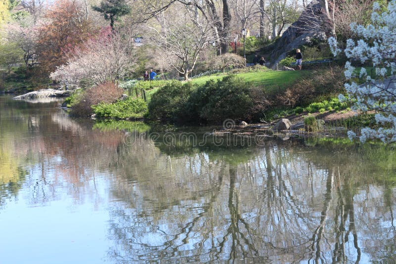 Beautiful Scenery in Park during Spring Editorial Photo - Image of ...