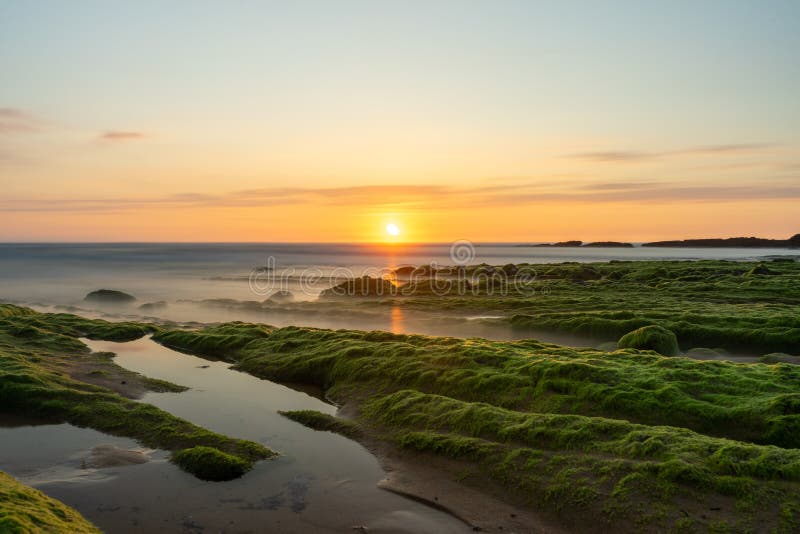 Beautiful Scenery of a Peaceful Seacoast Covered with Moss with the ...