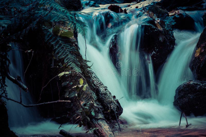 Beautiful Scenery of a Powerful Waterfall in a Forest Stock Image ...
