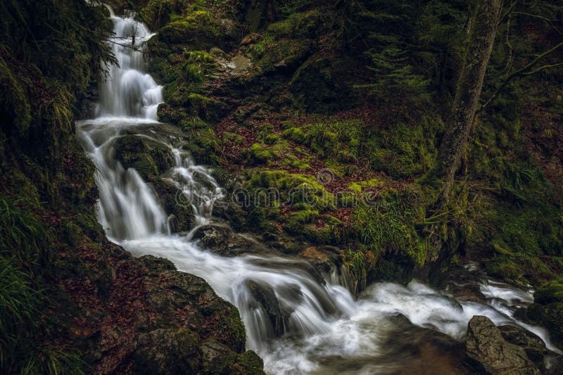 Beautiful Scenery of a Powerful Waterfall in a Forest Near Mossy Rock ...
