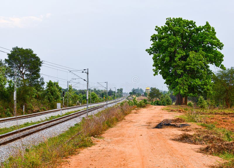Beautiful Scenery of Rail Line. Stock Photo - Image of plant ...