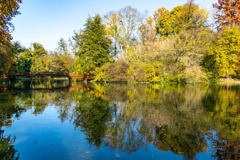 Beautiful Scenery of a Reflective Lake Surrounded by Trees and Greenery ...