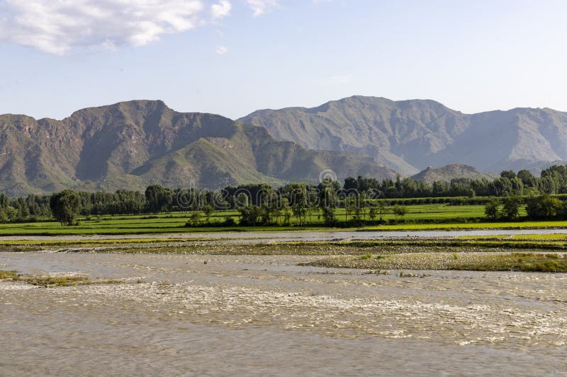 Beautiful Scenery of Rice Fields and River Swat, Pakistan Stock Photo ...