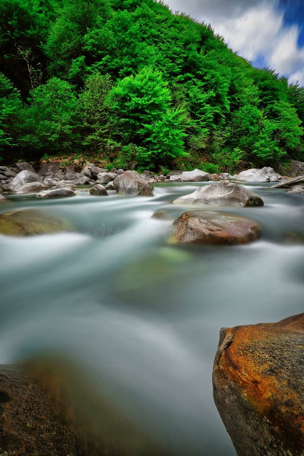 Beautiful Scenery of River Flowing Downstream in a Forest Stock Image ...