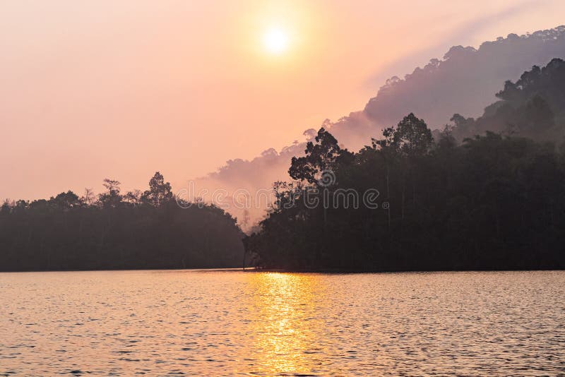 Beautiful Scenery of the River the Forest at Sunset Stock Photo - Image ...