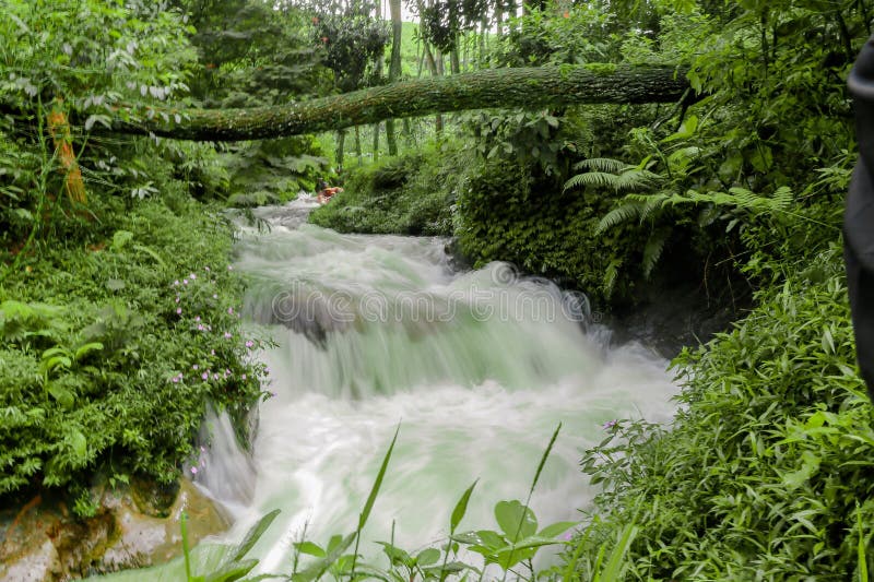 Beautiful Scenery River Water Flows Down the Waterfall Editorial Photo ...