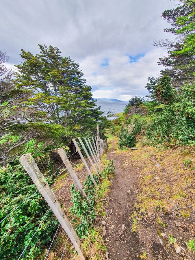 Beautiful Scenery of a Road that Leads To a Lake Over the Mountain ...