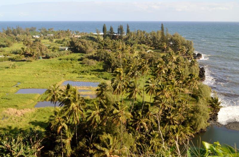 Hawwian Air Stock Photos - Free & Royalty-Free Stock Photos from Dreamstime