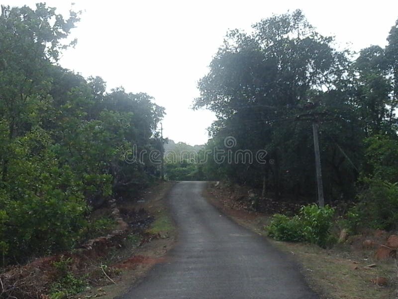 Beautiful Scenery Road Tree Surrounded Stock Photo - Image of scenery ...