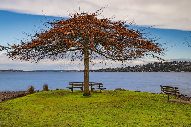 Beautiful Scenery Shot with Slow Shutter on the West Shore of Lake ...