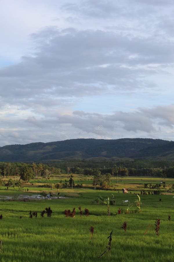 Beautiful Scenery, Spectacular Views of Mountain Scenery Stock Image ...