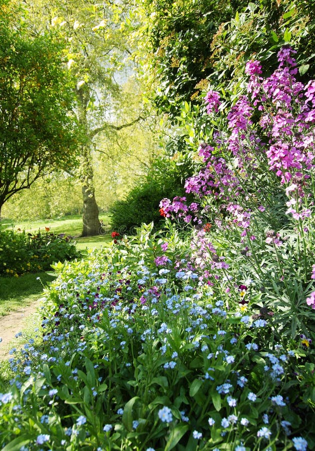 Beautiful Scenery in St James Park Stock Image - Image of violet ...