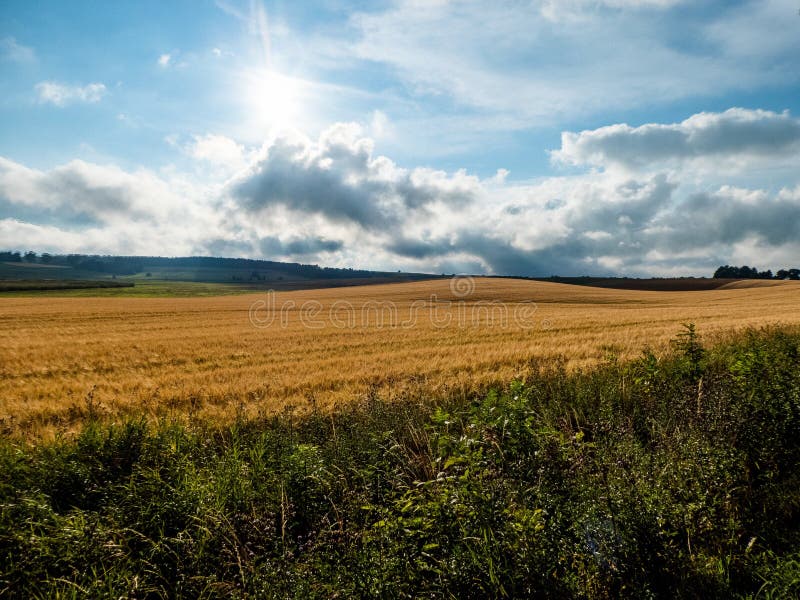 Beautiful Scenery of the Sun Shining Over the Field Touching the Sky ...