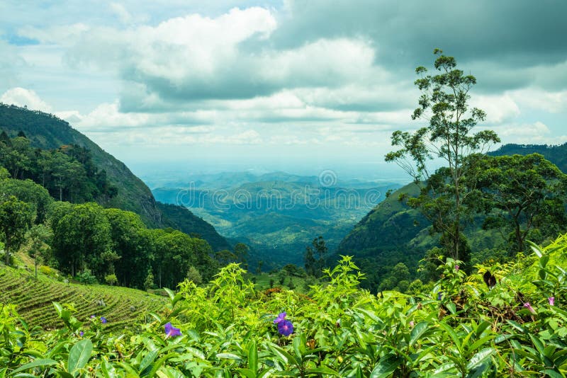 Beautiful Scenery between Two Hills. Misty Hills Stock Photo - Image of ...