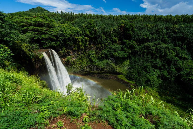 Beautiful Scenery of Wailua Falls in a Forest Surrounded by Greenery in ...