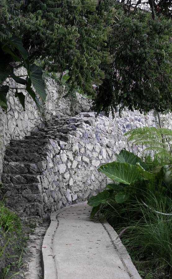 Beautiful Scenery of Walking Path in the Park Stock Image - Image of ...