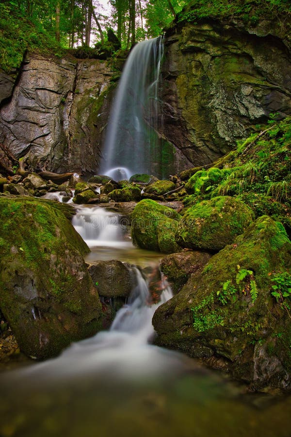 Beautiful Scenery of Waterfall Flowing Downstream in a Forest Stock ... Beautiful Scenery of Waterfall Flowing Downstream in a Forest Stock ...