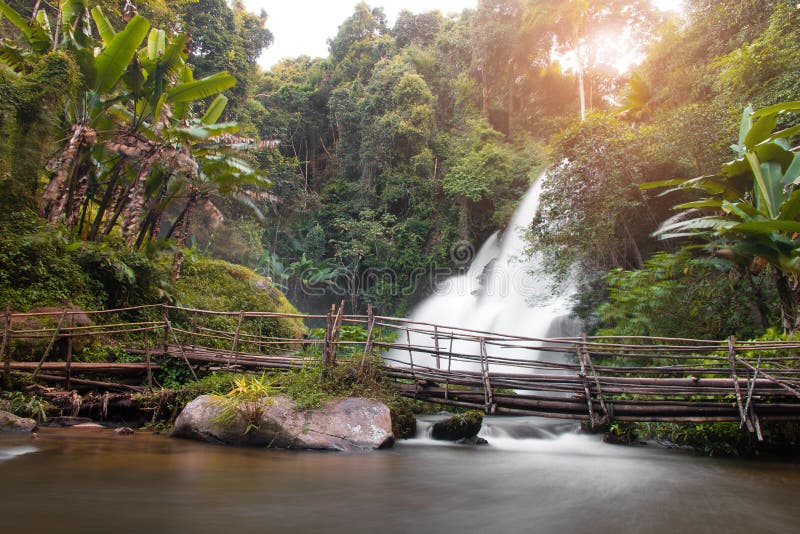 Beautiful Scenery, Waterfall in Wild Stock Image - Image of tropical ...