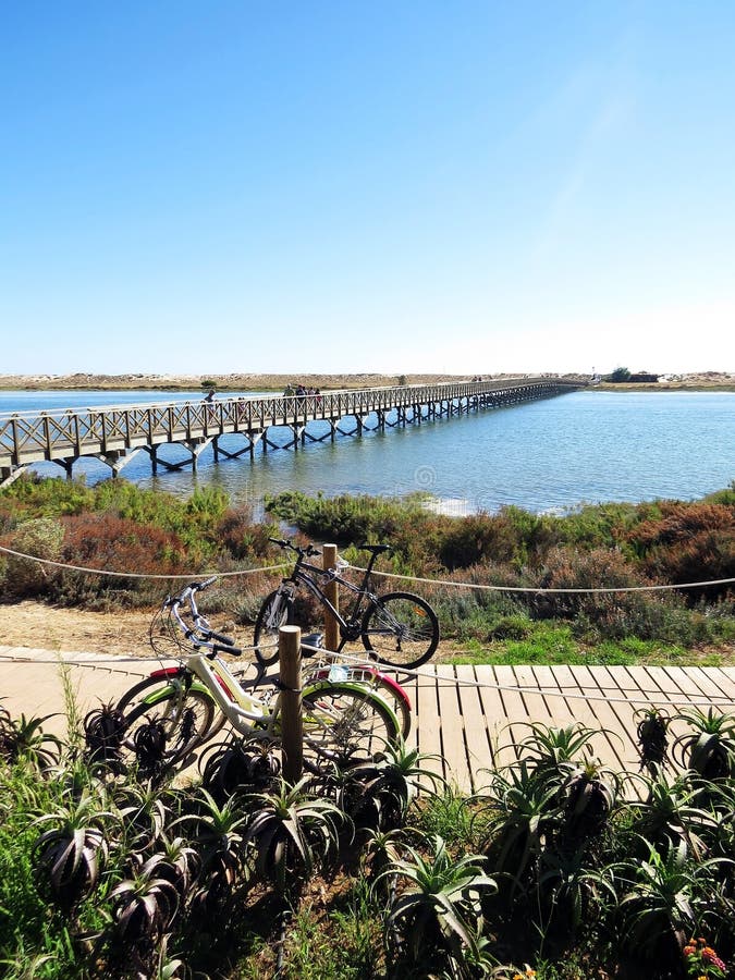 Beautiful Nature Scenery, Wooden Bridge, River, Bikes Stock Image ...