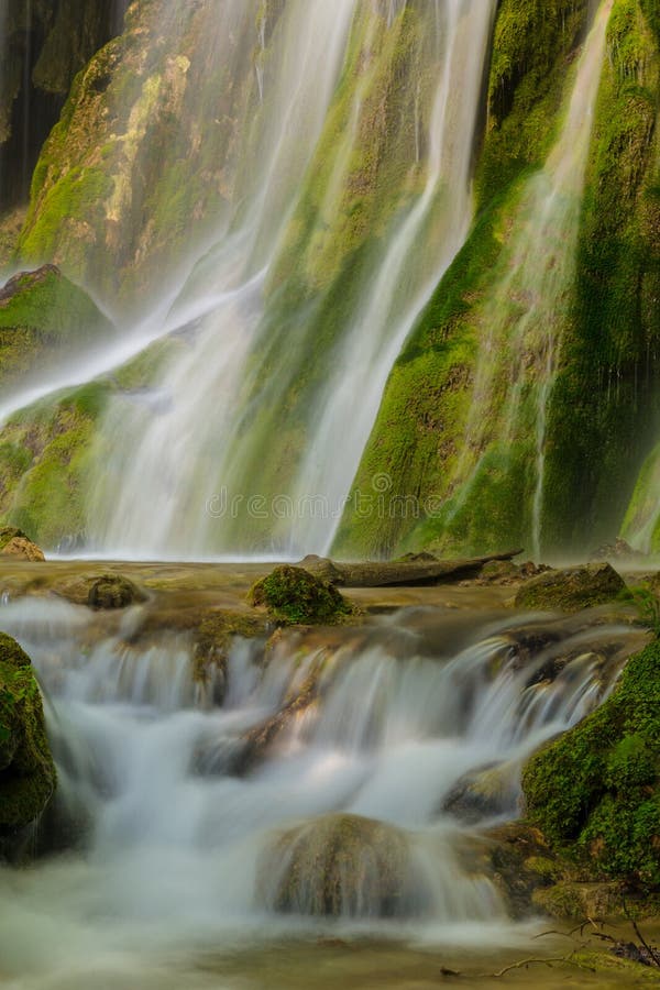 Beautiful Scenery in the Woods, with Lush Green Foliage in Spring Stock ...