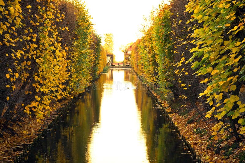 Yellow Park Scenery in the Autumn Stock Image - Image of outdoors, path ...