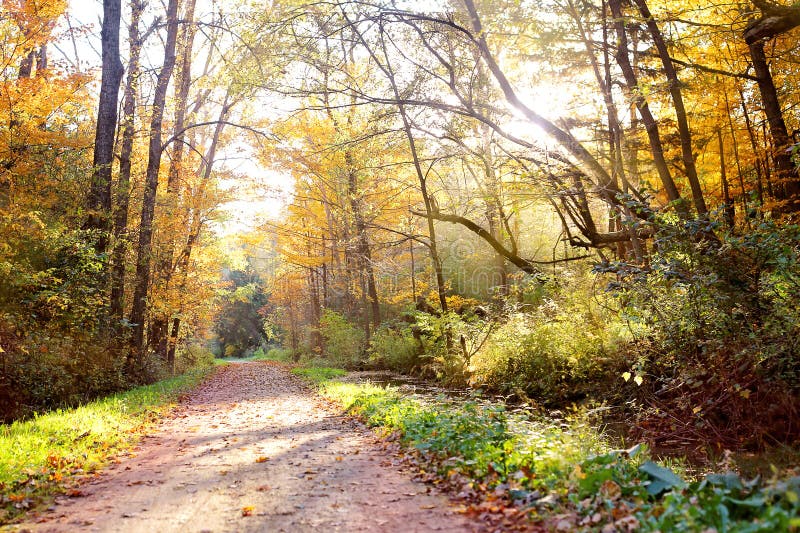 Beautiful Scenic Autumn Path through the Woods Stock Photo - Image of ...