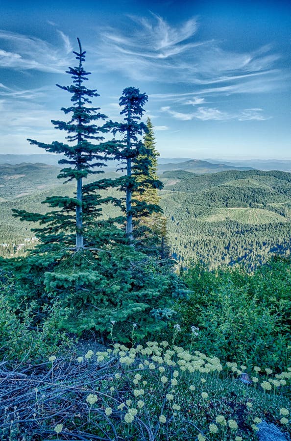 Beautiful Scenic Nature Views at Spokane Mountain in Washington State ...