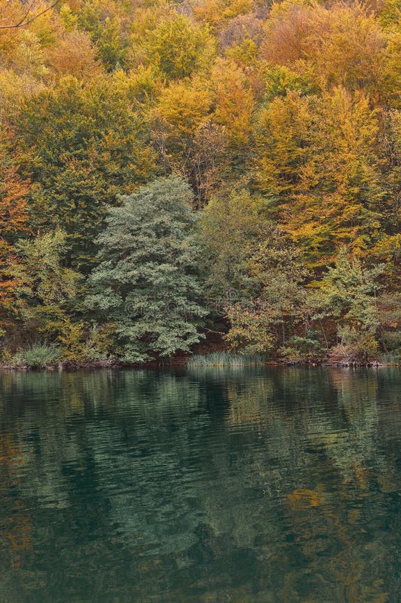 Beautiful and Scenic River Landscape with Trees Stock Photo - Image of ...