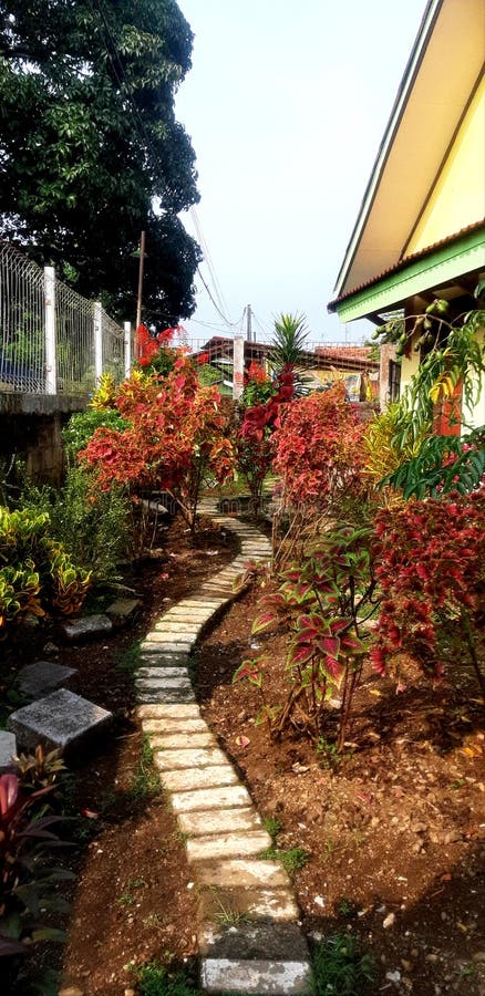 The School Garden is Decorated with Beautiful Trees and Ornamental ...