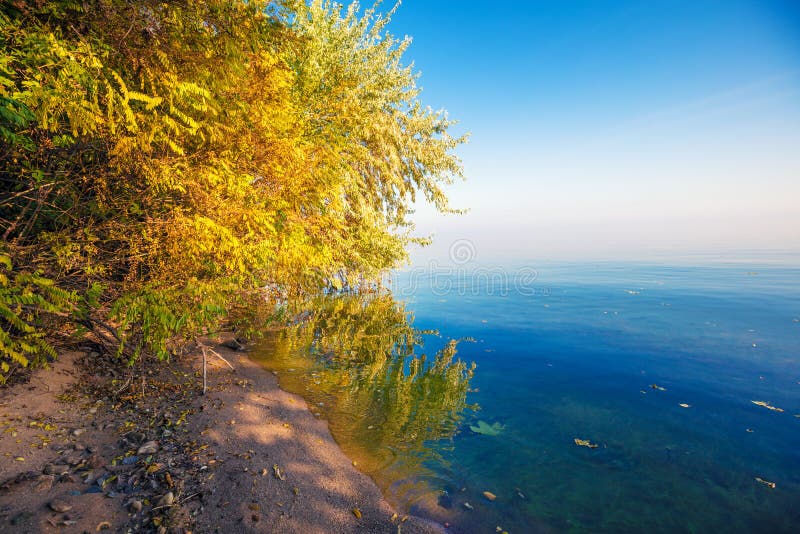 Beautiful Sea Coast in Autumn Stock Photo - Image of blue, forest ...