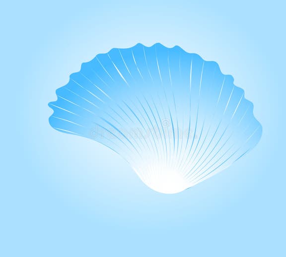 Beautiful sea cockleshell. stock vector. Illustration of beautiful ...