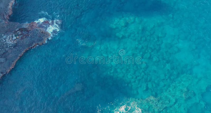 The Beautiful Sea Has Transparency. Stock Image - Image of swimming ...