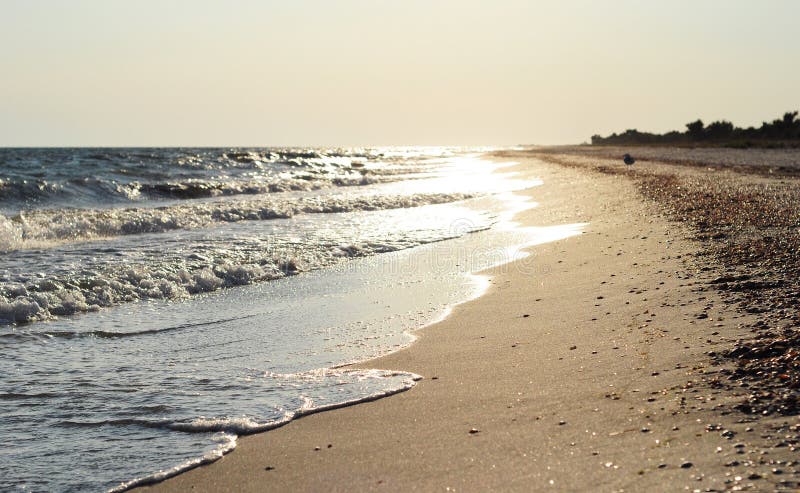 Beautiful Sea, Ocean Sunset with Soft Waves on Sandy Beach Stock Image ...