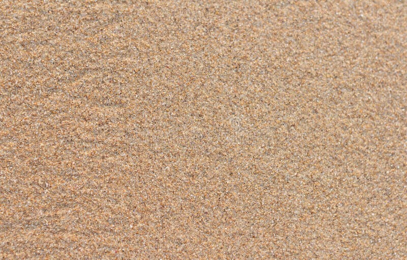 Sea Sand with Flat Dry Surface Stock Image - Image of relax, clean ...